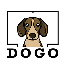 dogo logo - JA Cyprus